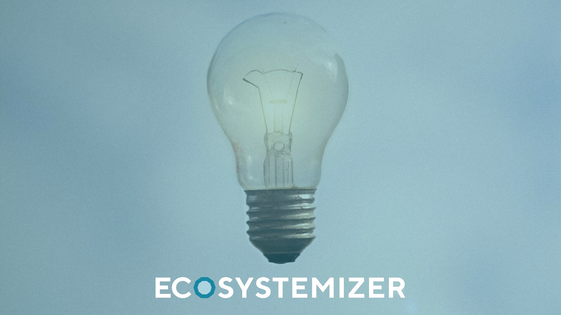 The Ecosystemizer Story I Blog Ecosystemizer